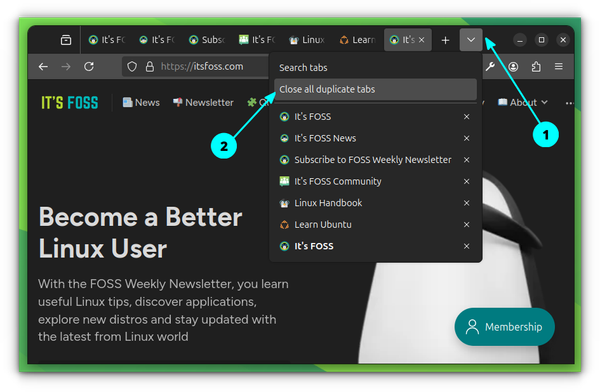 FOSS Weekly #24.44: Fedora 41 Release, Russia in Linux Kernel, System Monitoring and More